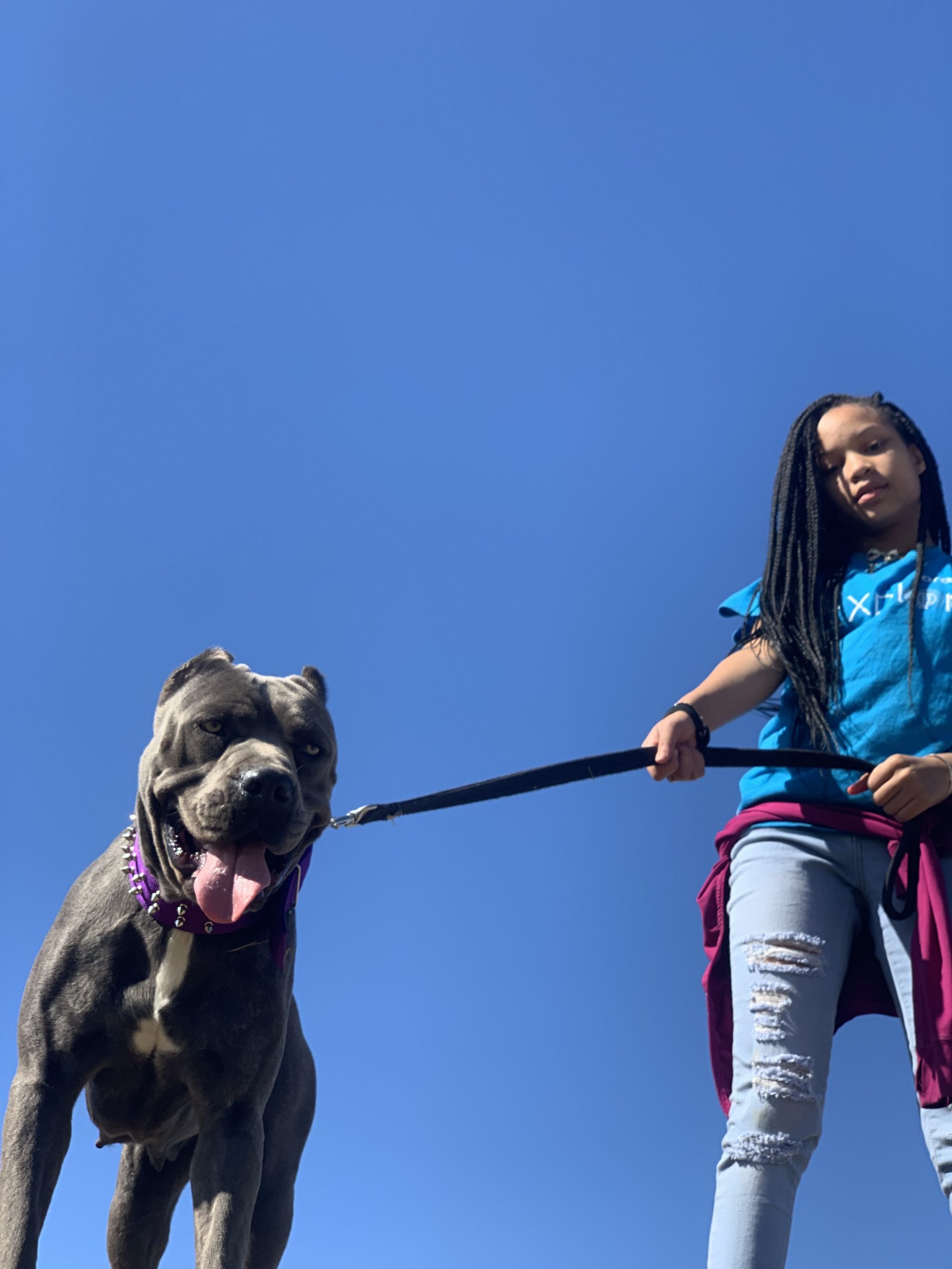 Outlaw Star – New Wave Cane Corso